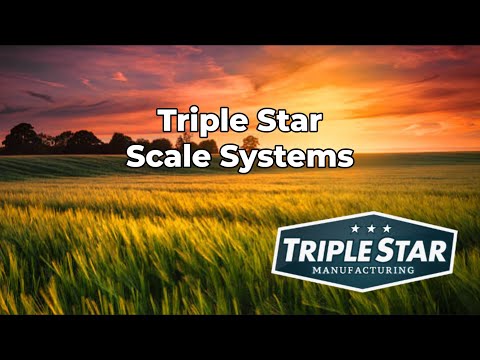The different types of scales