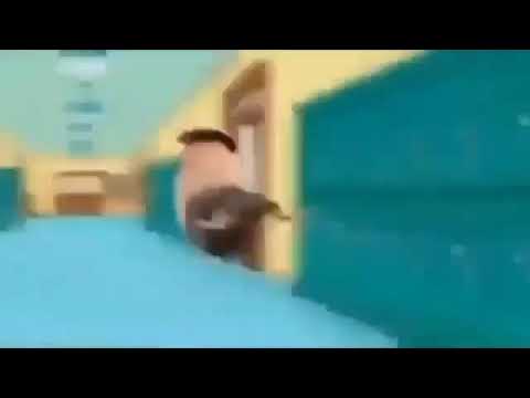 Steam Community :: Video :: Cha Cha Real Smooth (Fanboy and Chum Chum ...