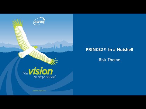 PRINCE2 Risk