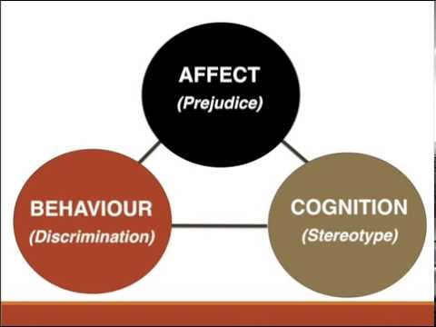 Prejudice, Stereotypes, & Discrimination (1 of 2)
