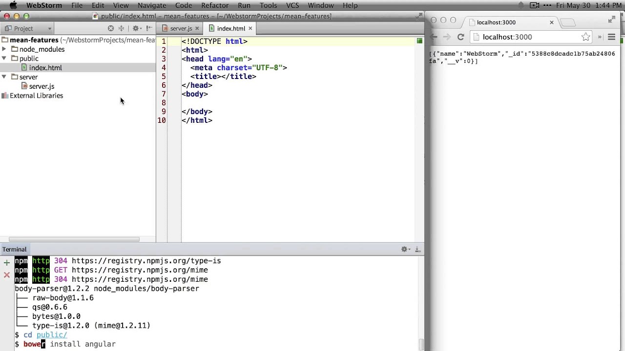 WebStorm - MEAN Stack Walkthrough and Tips