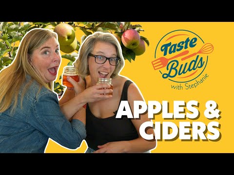 Apple orchard hard ciders: Taste Buds