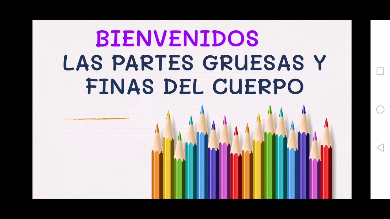 PARTES GRUESAS Y FINAS DEL CUERPO