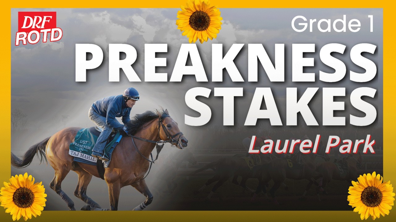 Preakness Stakes Preview | Full-Field Analysis and Picks | DRF Saturday ROTD