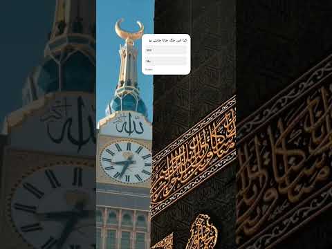 Qalbi Fil Madinah