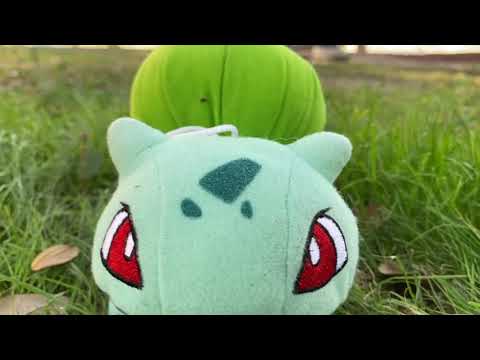 The Search for Bulbasaur! – Sol Tells Stories for Class