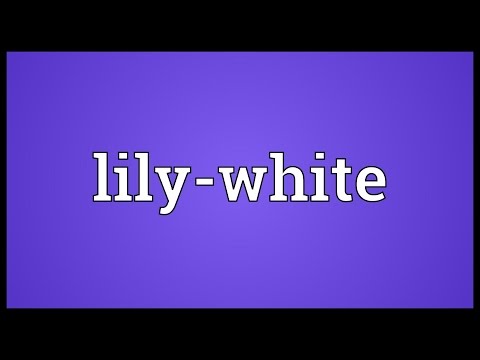 Lily-white Meaning