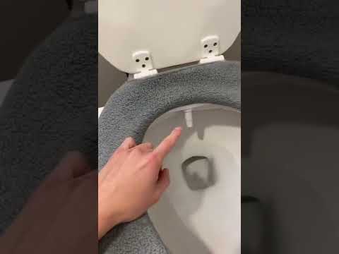 How to use a bidet #shorts