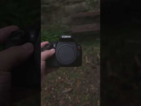 What Lenses Are They Compatible With? Canon Rebel T6 (1300D) vs Rebel T7 (2000D)
