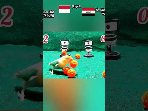 Indonesia vs Irak malam ini piala asia 2024