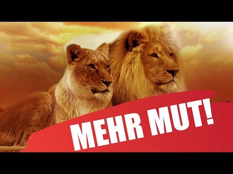 5 einfache Schritte für mehr Mut – Mutig sein | André Loibl's changenow