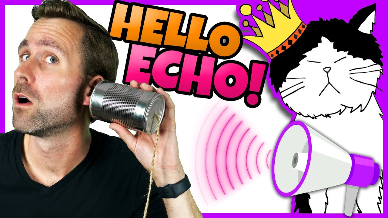 🔊 Hello Echo! | Science Learning Song for Kids | Mooseclumps