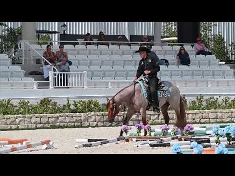 2024 Quarter Horse Congress Celeste North Friday - October 25, 2024