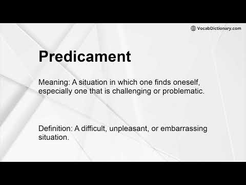 Predicament Meaning