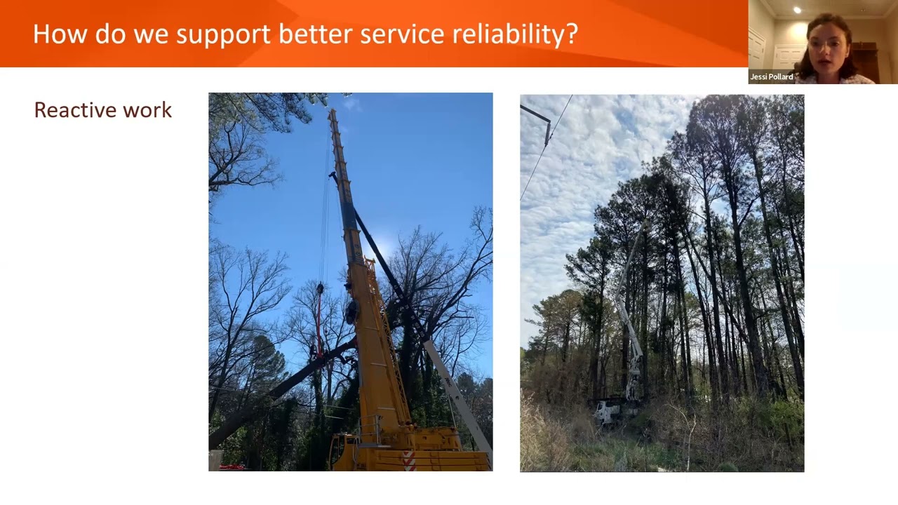 Utility Arboriculture Explained