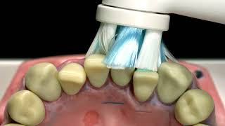 Adult patient's Materials from Oral-B
