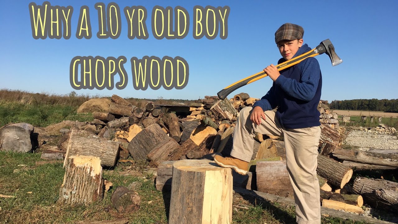 Why a Boy Chops Wood