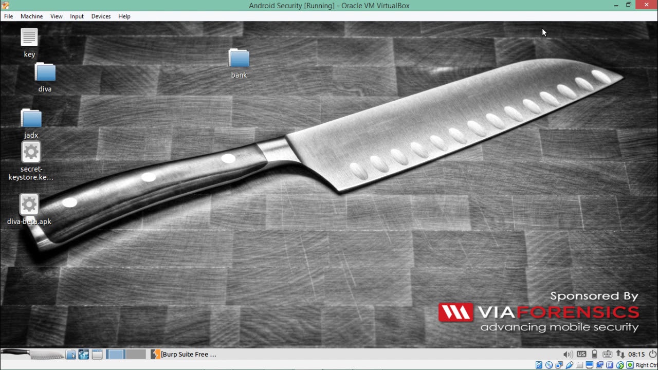 Android Traffic Analysis & Interception