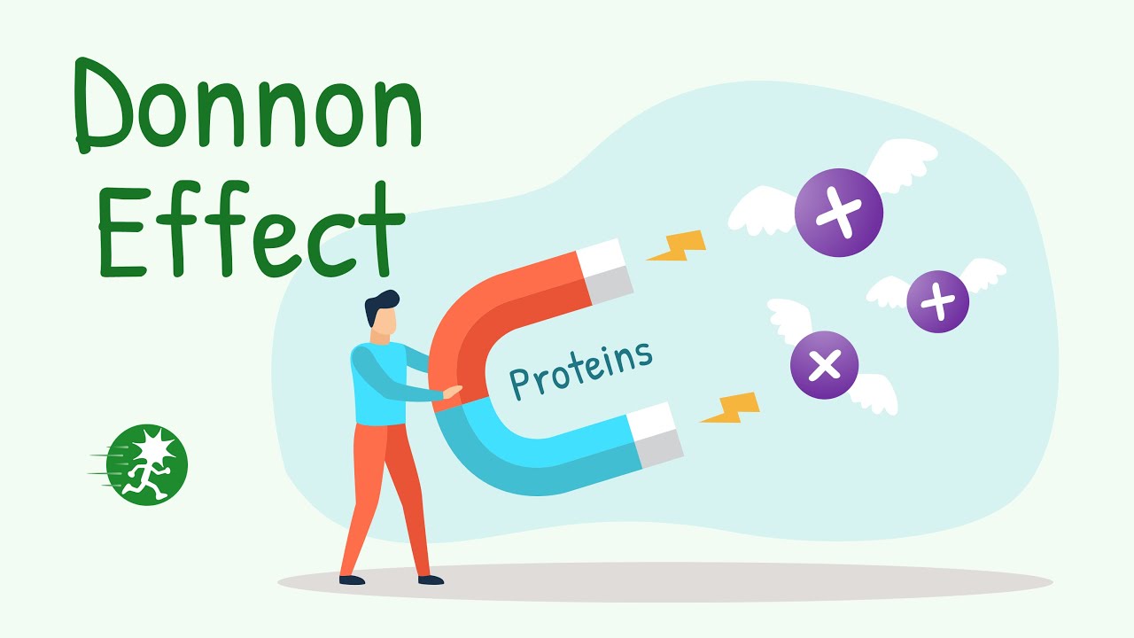 Donnan Effect | Gibbs Donna Equilibrium | Membrane Physiology