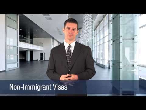 Non-Immigrant Visas