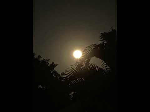Super Blue Moon - 19 August 2024; the next one January 2037