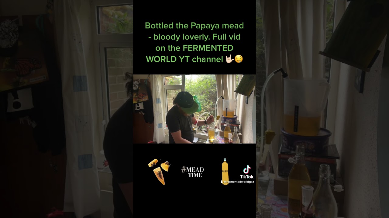 Bottled the papaya mead #mead #brewing #homebrew #honeywine #wine #fermentedworld #ytshorts #brewers