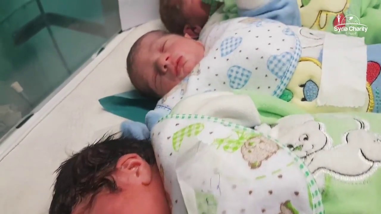 Naissance d'un triplé !