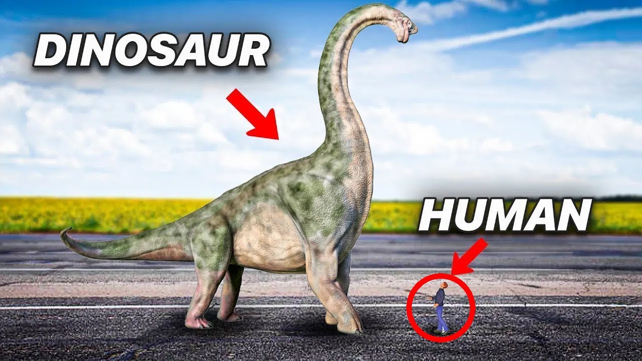 DINOSAURS ERA | Size Comparison of the Prehistoric Giants