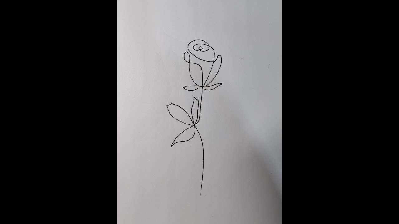Practice drawing a rose in one line