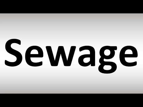 How to Pronounce Sewage
