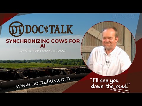 DocTalk Ep 262 - Synchronizing Cows for AI with Dr. Bob Larson