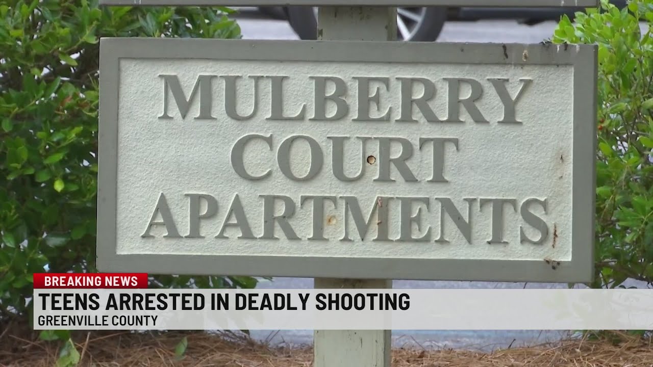 3 teens charged with murder of 17-year-old in Greenville Co.