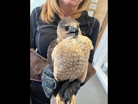 Patient Update 4-21-23