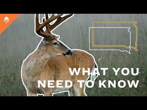 How To Go Hunting In South Dakota