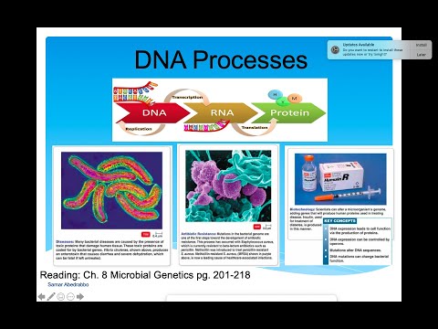 DNA Processes Part 1 (DNA Replication)