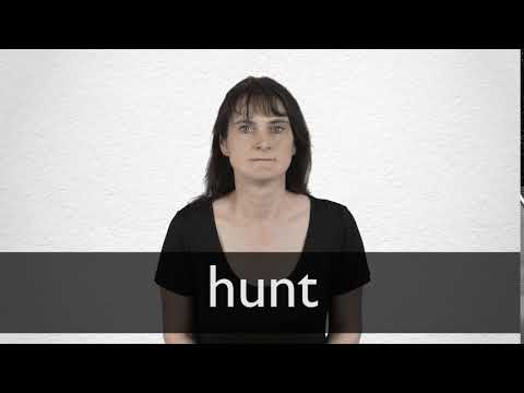 HUNT Synonyms | Collins English Thesaurus