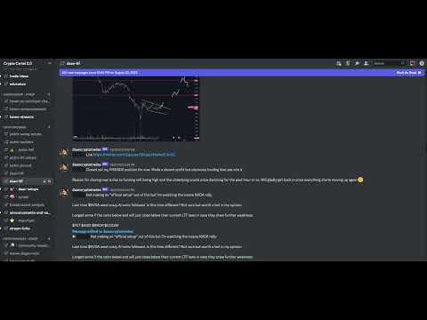 Crypto Hounds signals copy 1:1
