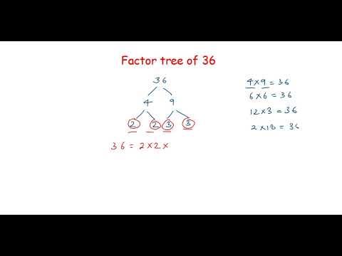 Factor tree of 36. How to find the factor tree of 36. Prime factorisation using factor tree.