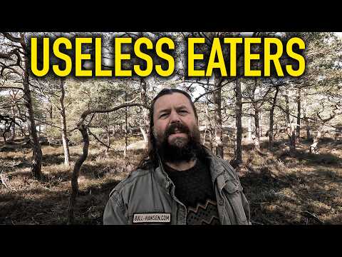 Getting More and More Difficult to Have a Sensible Conversation ...