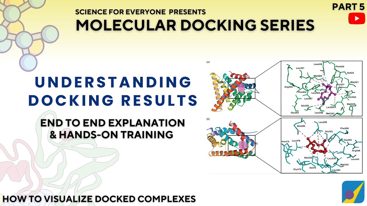How to Interpret Molecular Docking Results