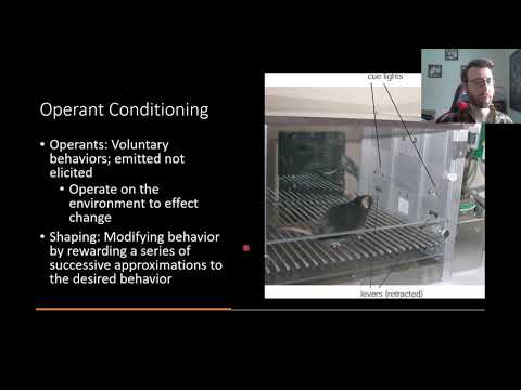 PSY313 CH4PT1: What is Reinforcement?
