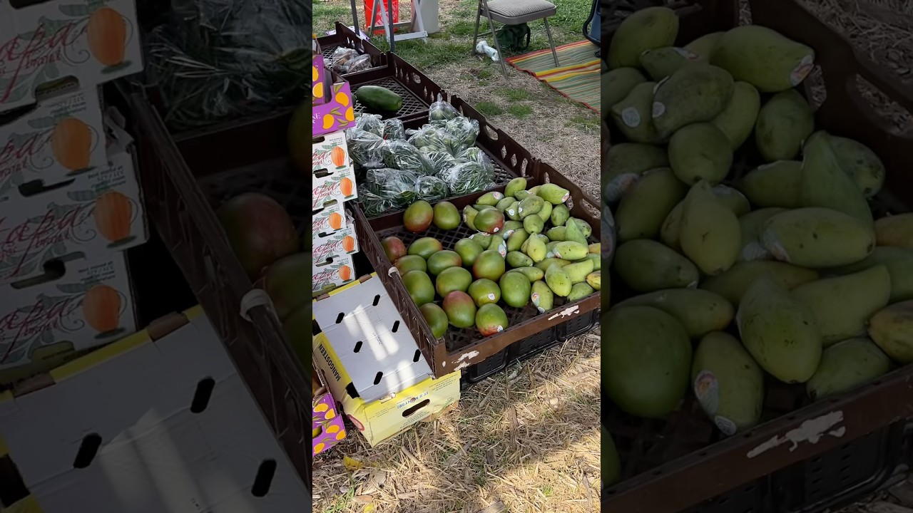 Best kept secret in Philadelphia? Happy Easter everyone! Tomorrow I’ll be back to saving dogs