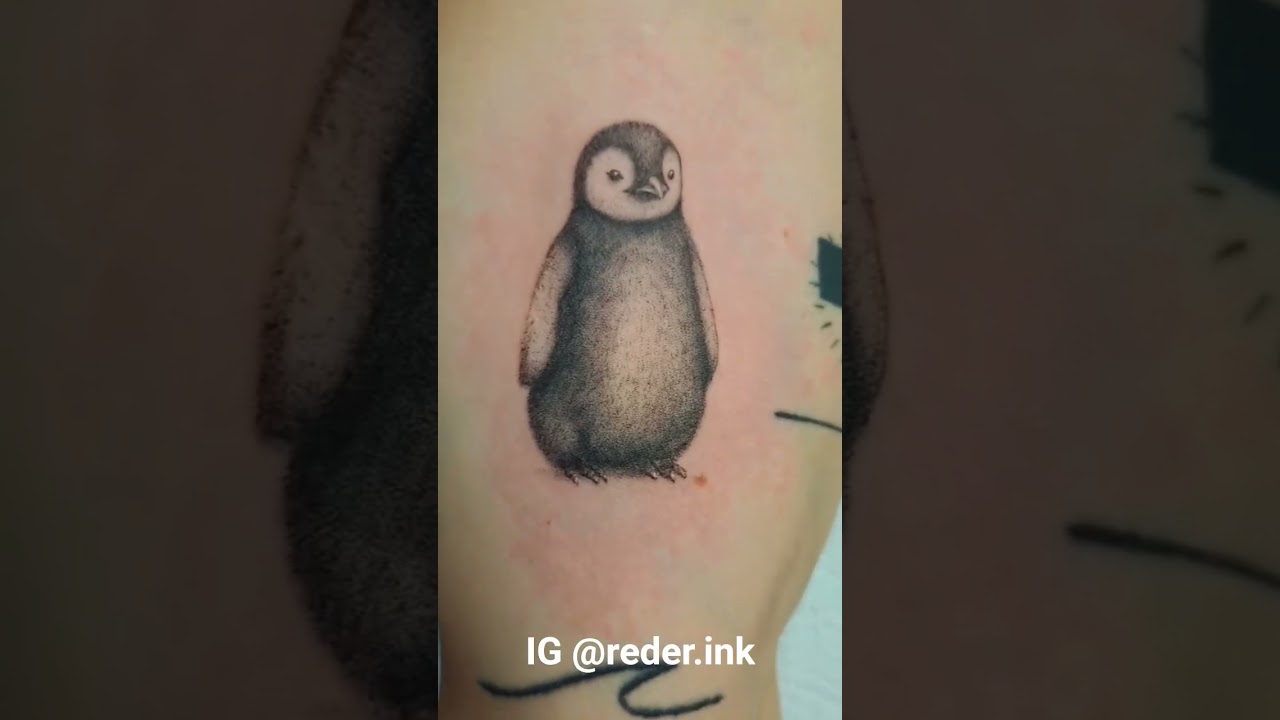 #tattoo #inktattoo #tatuaggio #tattooartist #tattoodesign #tattoos #tat #penguin #finelines
