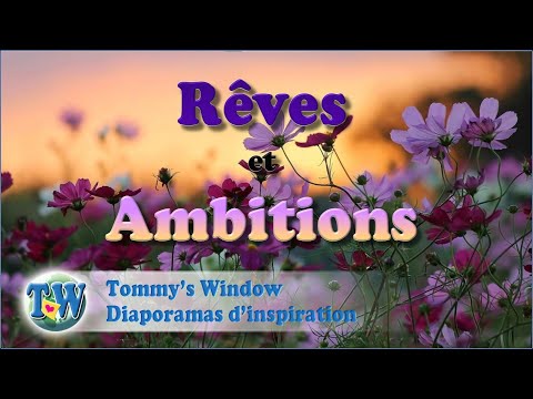 Rêves et ambitions - Tommy's Window Français