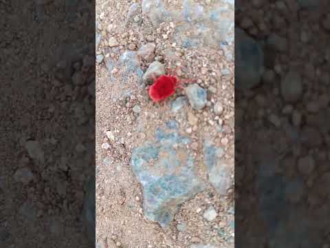 what is this name called
