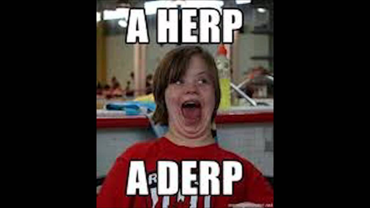 derp herp hurr durr