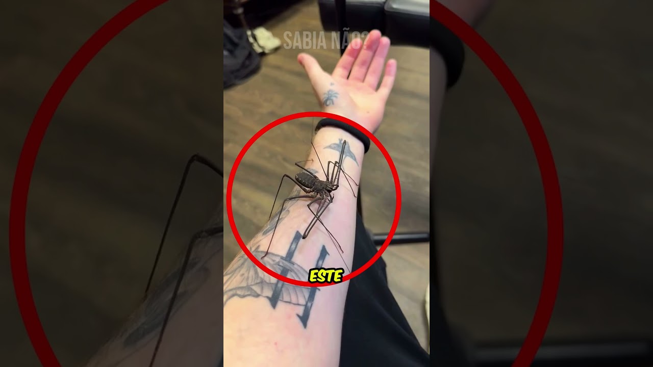 ¡Él Transforma Insectos en Tatuajes! #curiosidades #animal #increible