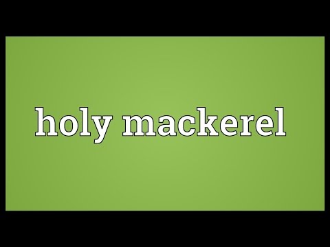 Holy mackerel Meaning