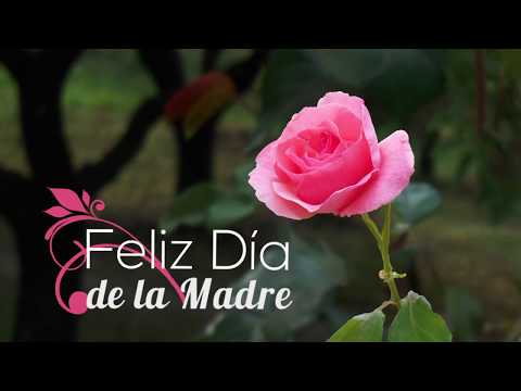 Feliz Día de la Madre - Tarjeta animada
