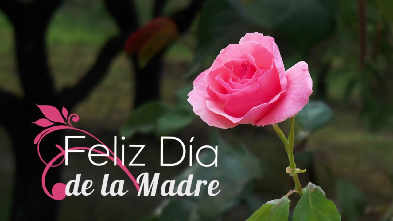 Feliz Día de la Madre - Tarjeta animada